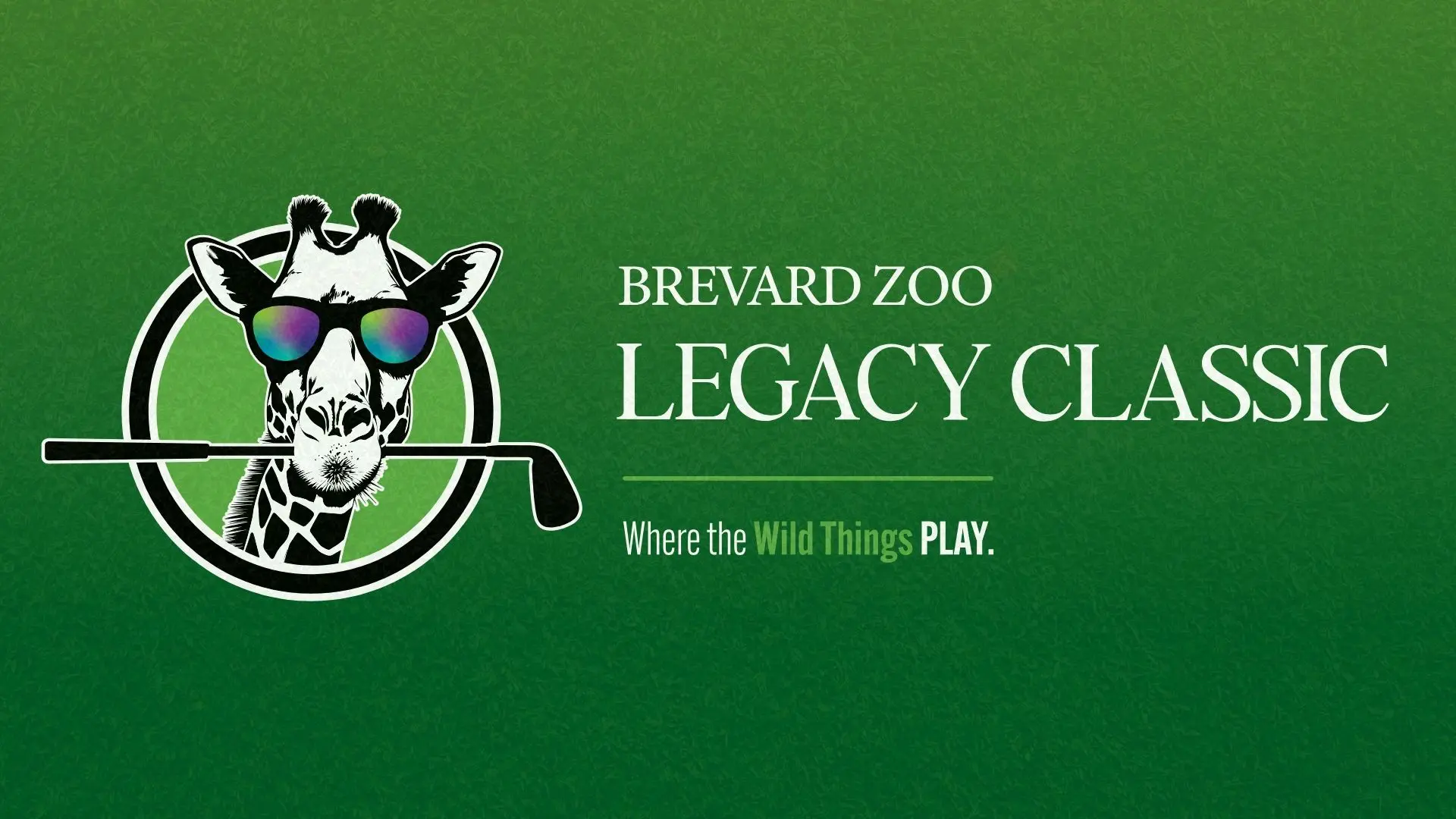 Brevard Zoo Logo Rhinos Won't Be Punished At Florida Zoo Where Girl