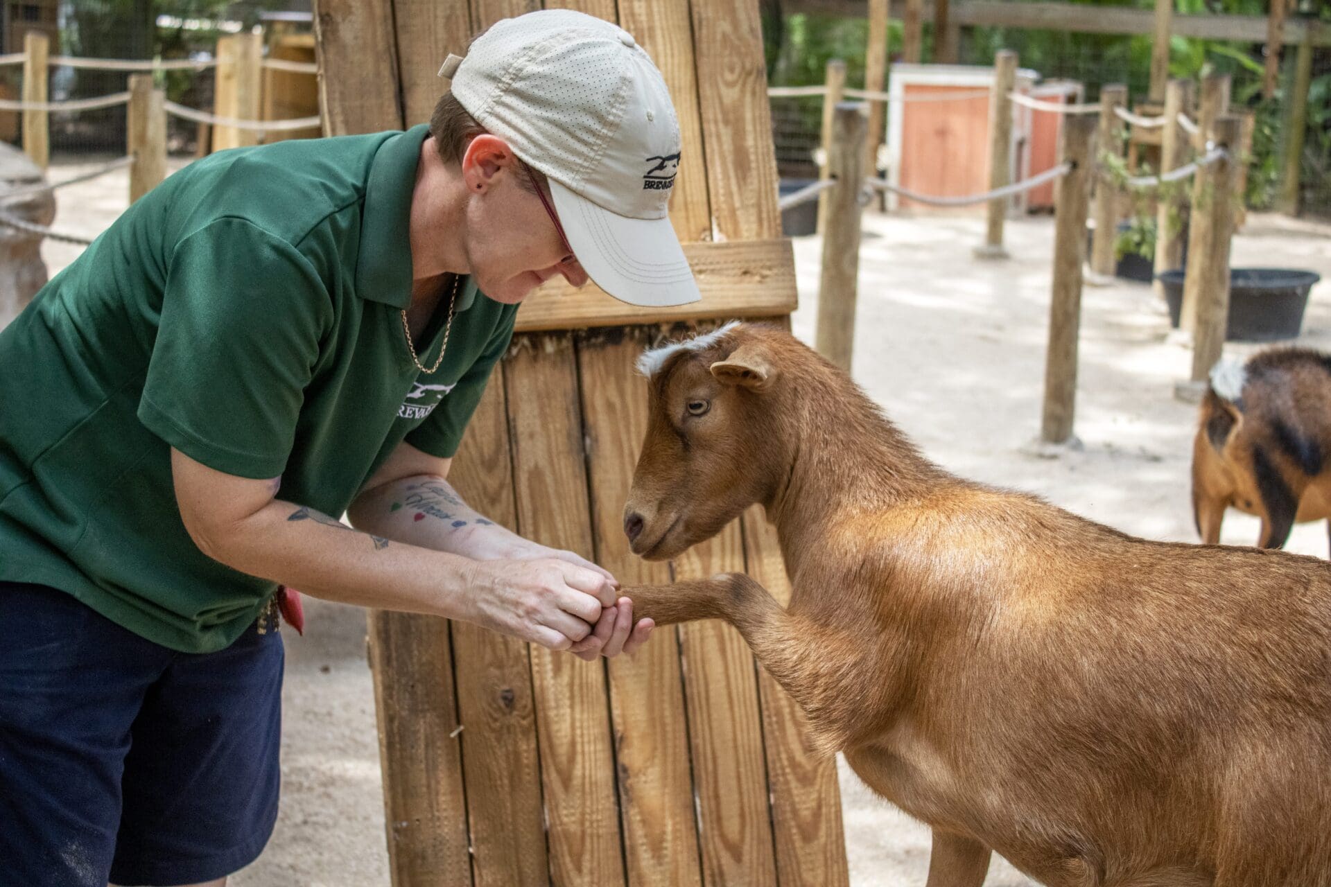 National Zookeeper Week: Animal Ambassador Team - Brevard Zoo