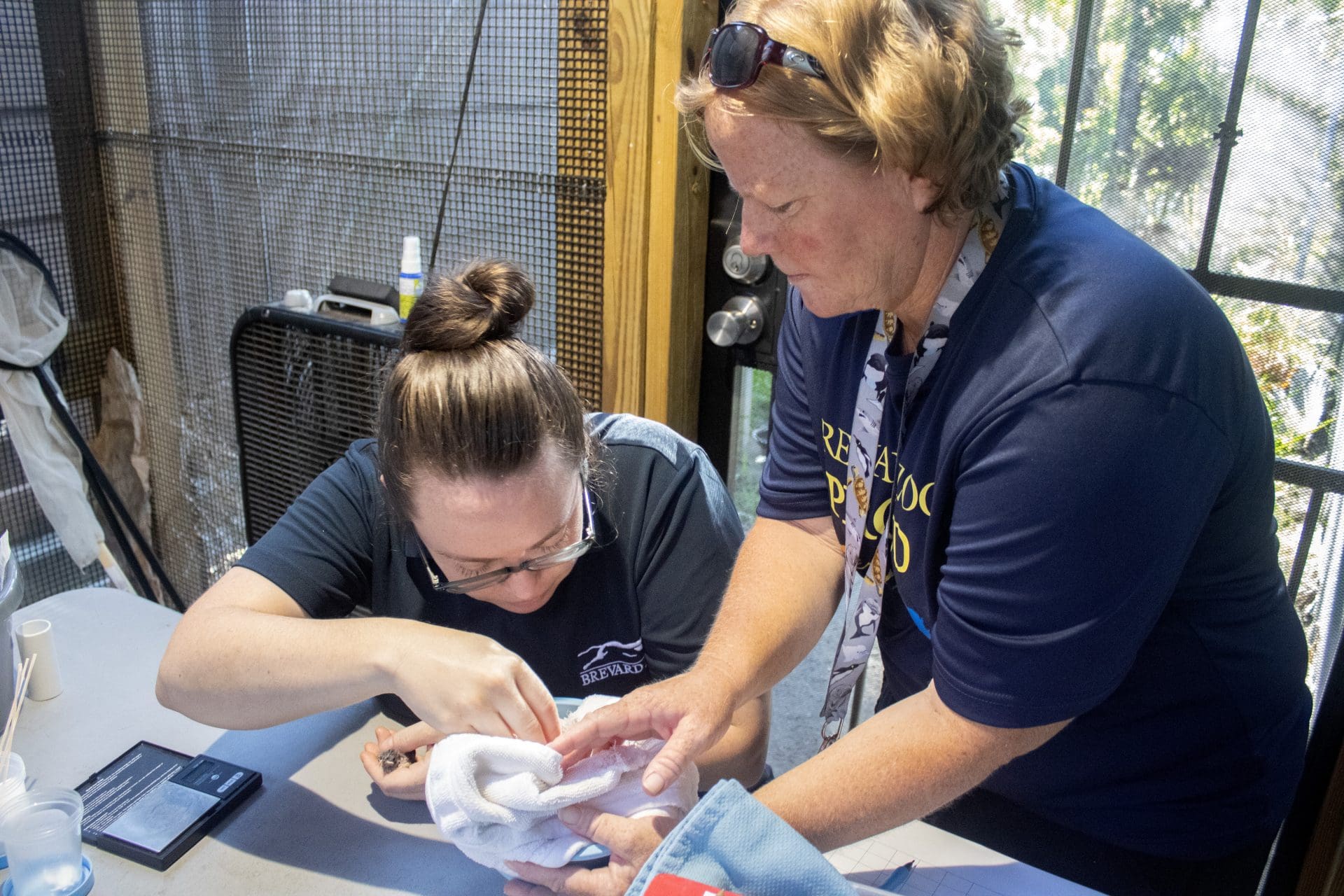 National Zookeeper Week: Conservation Team - Brevard Zoo