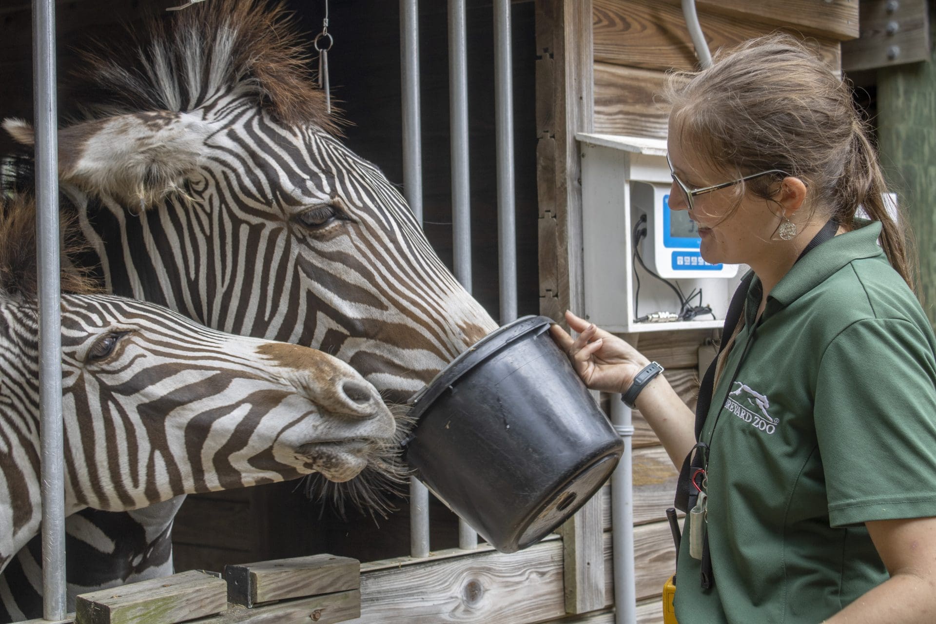 National Zookeeper Week: Africa Team - Brevard Zoo