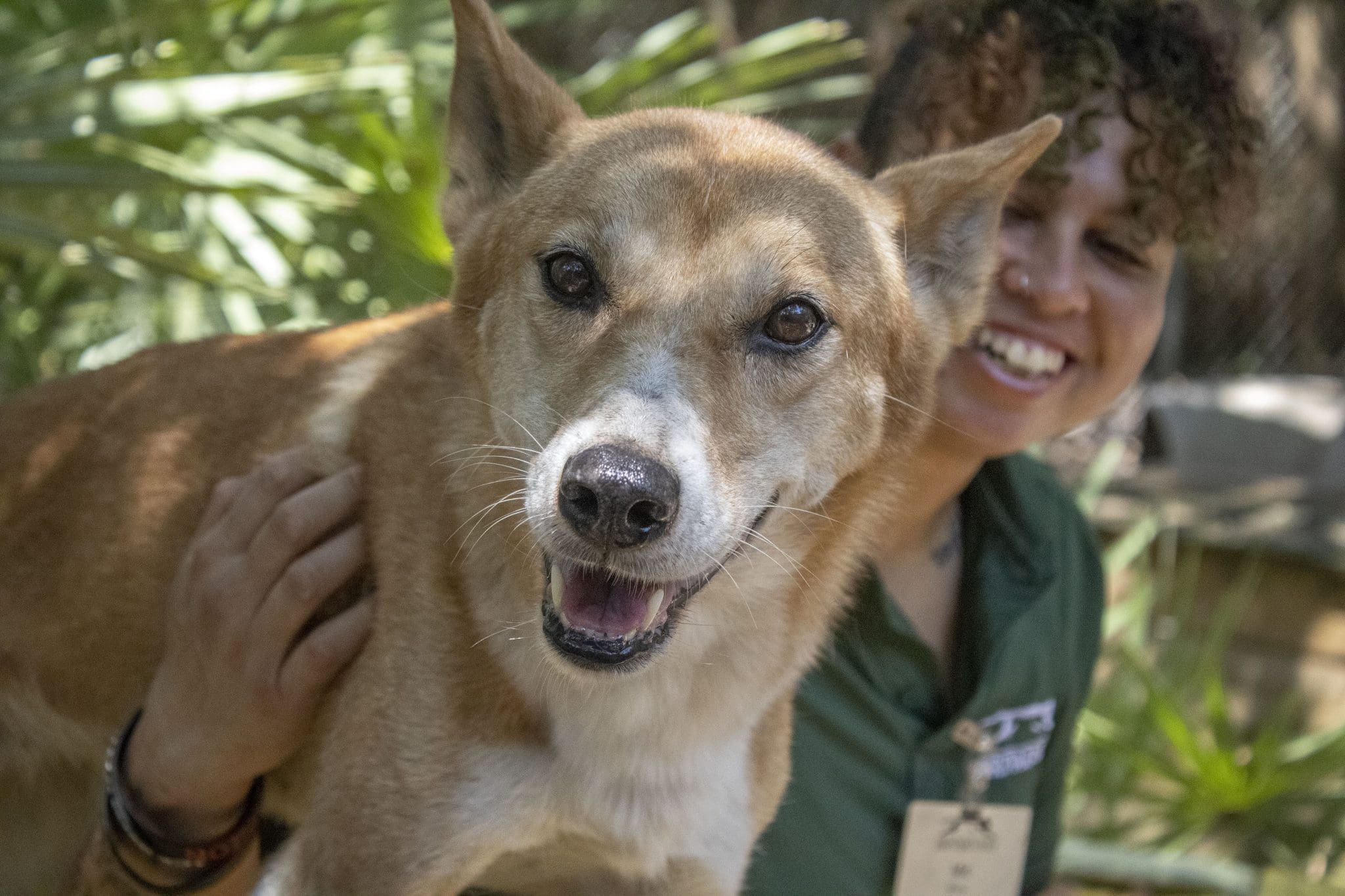 National Zookeeper Week: Lands of Change Team - Brevard Zoo