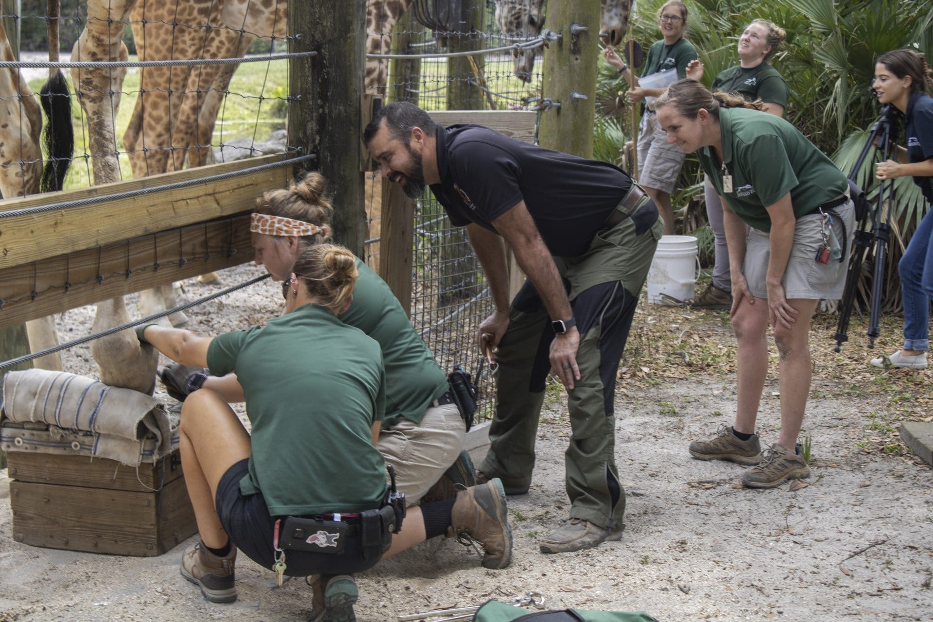 Hoof Trim Training for People - Brevard Zoo