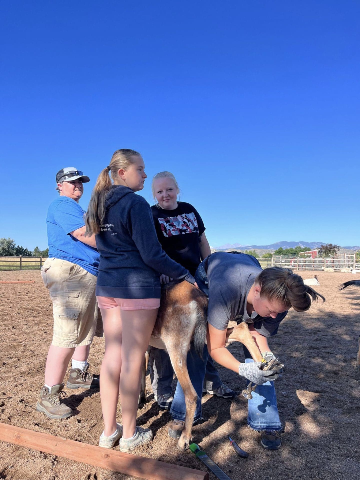 Hoof Trim Training for People - Brevard Zoo