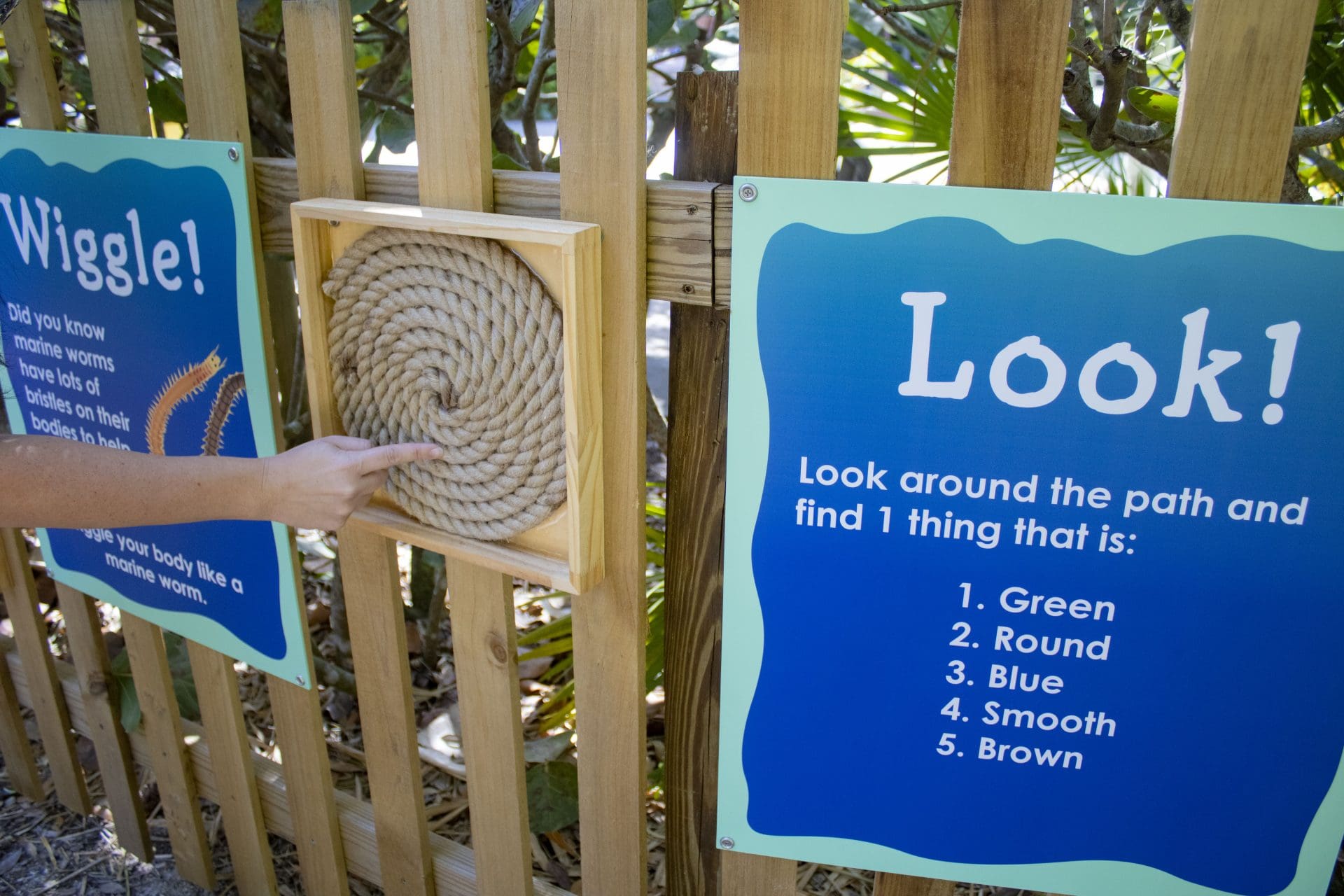 Discover Our New Sensory Pathway - Brevard Zoo