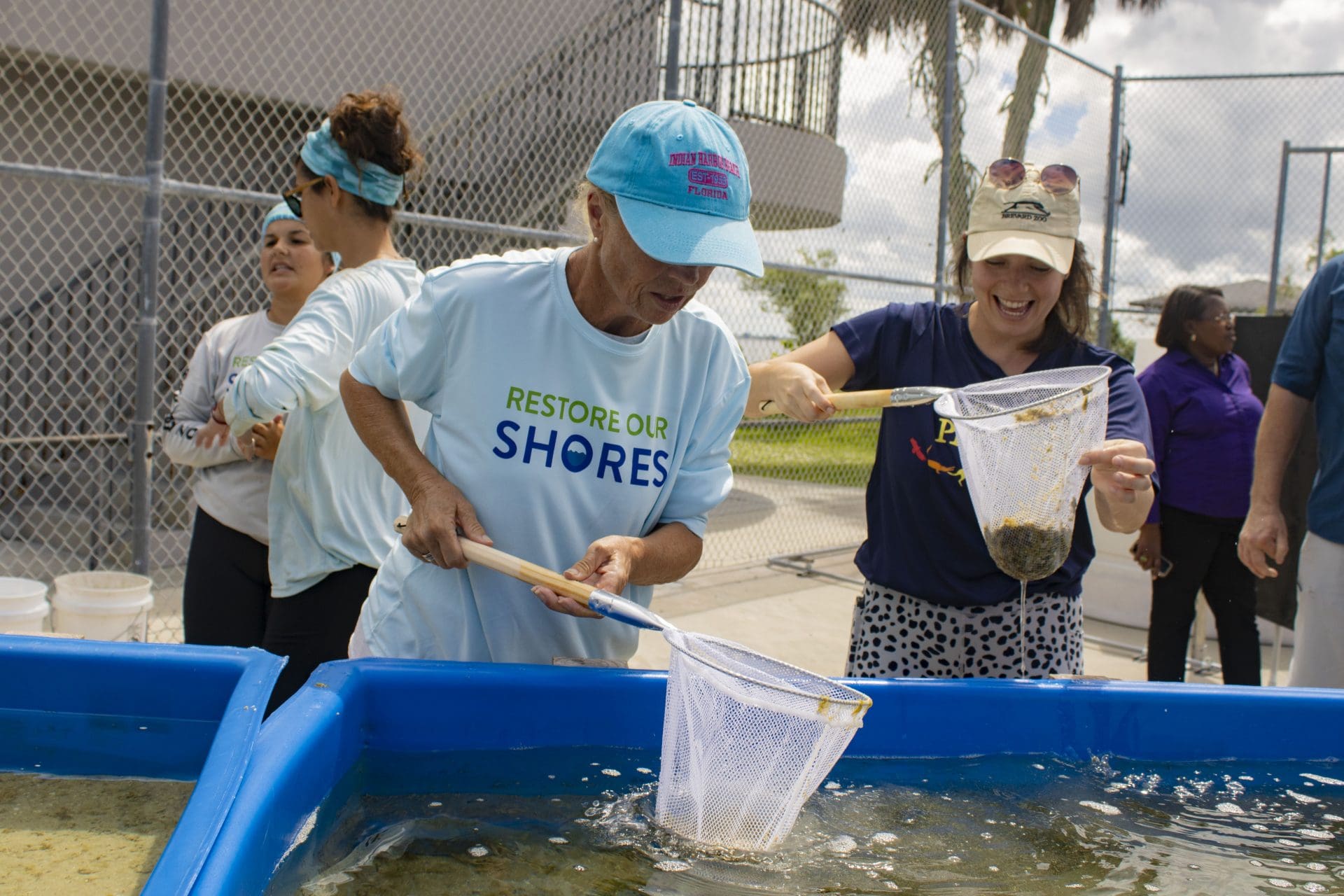 Our First Seagrass Nursery is Now Growing Seagrass! - Brevard Zoo
