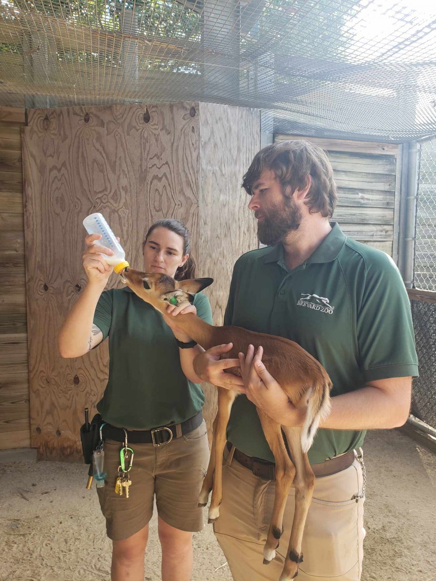 Brevard Zoo Blog | Take a Peek Behind the Scenes