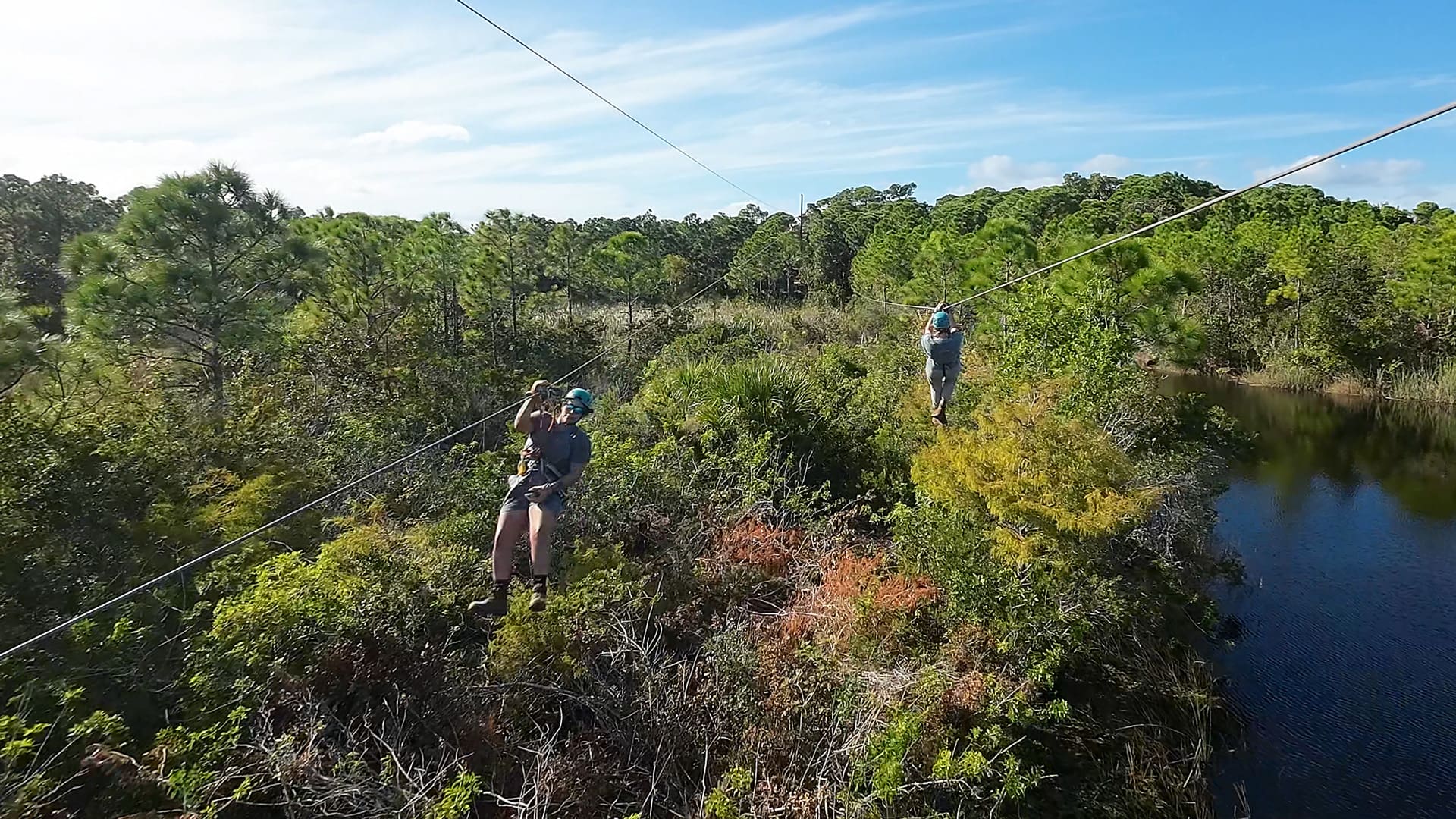 Brevard Zoo - We Share Our Joy of Nature to Help Wildlife and People ...