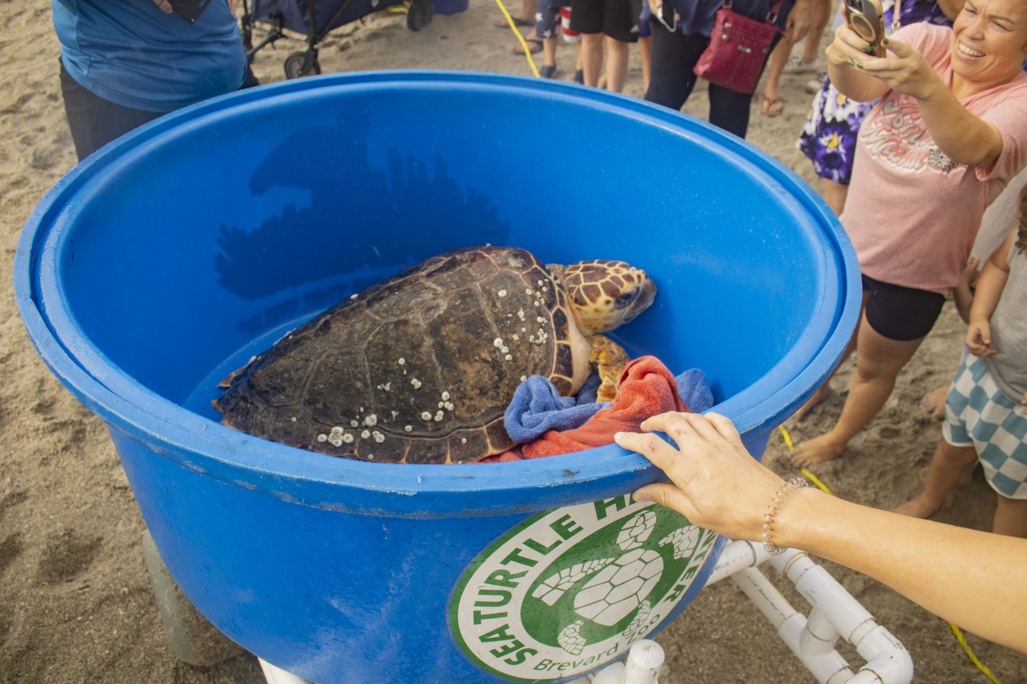 What's the Deal with Barnacles? - Brevard Zoo