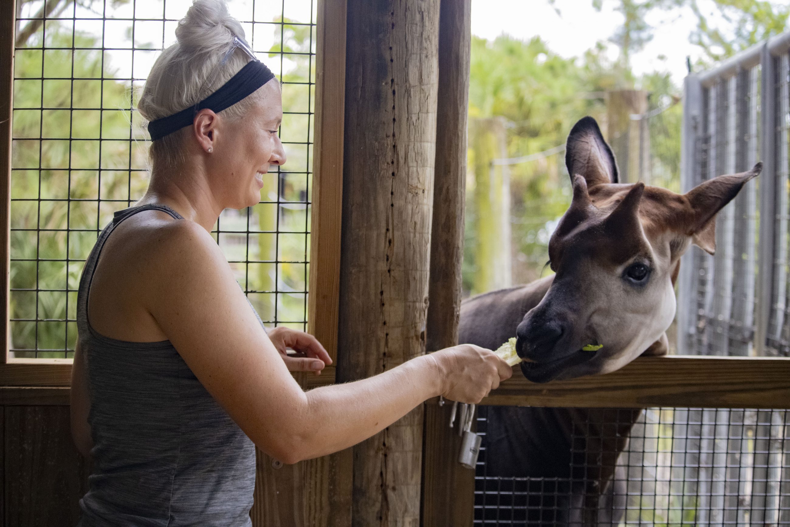 Opening a Newly Expanded Expedition Africa - Brevard Zoo