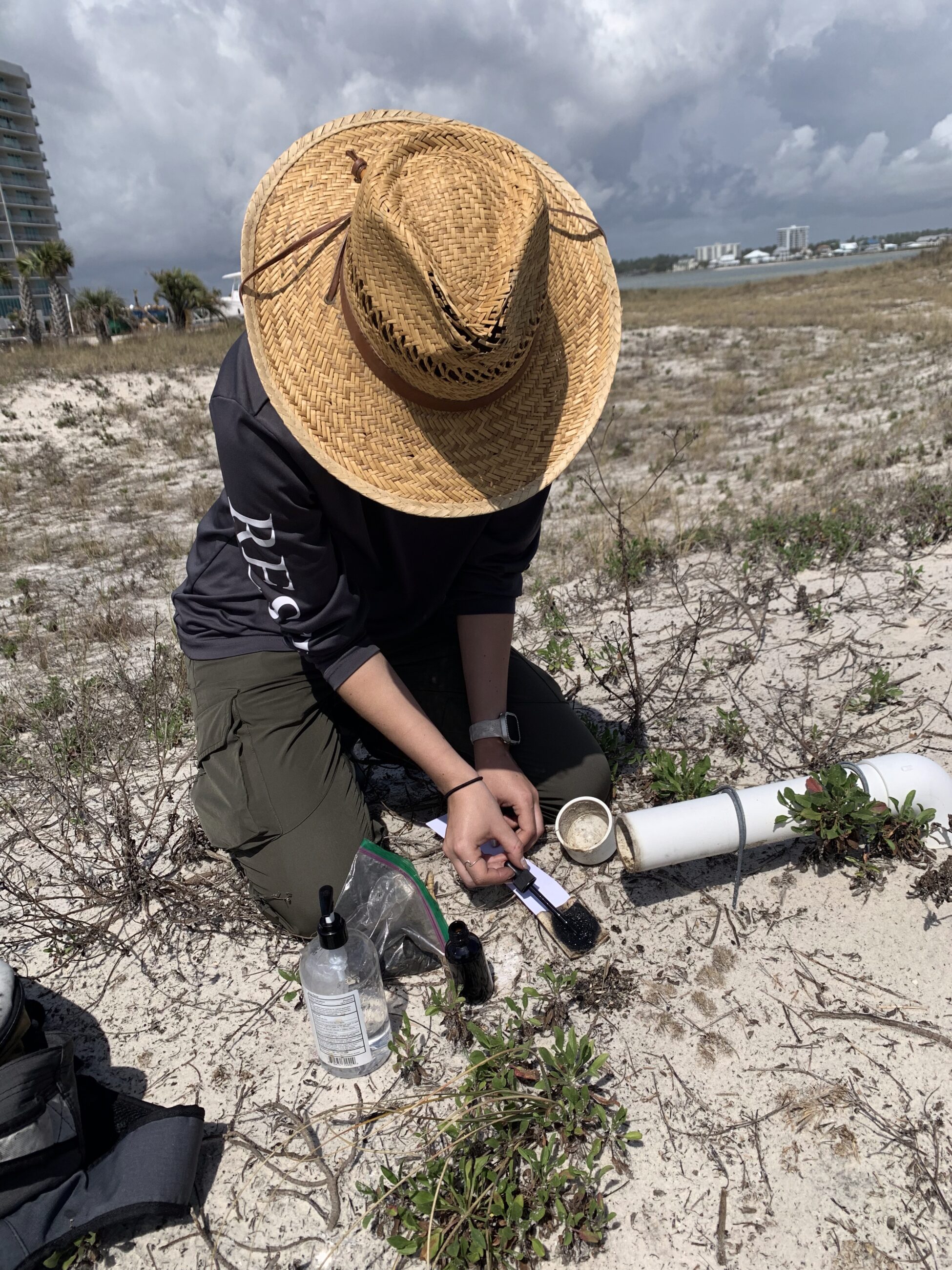 Taking a Field Trip to Perdido Key - Brevard Zoo