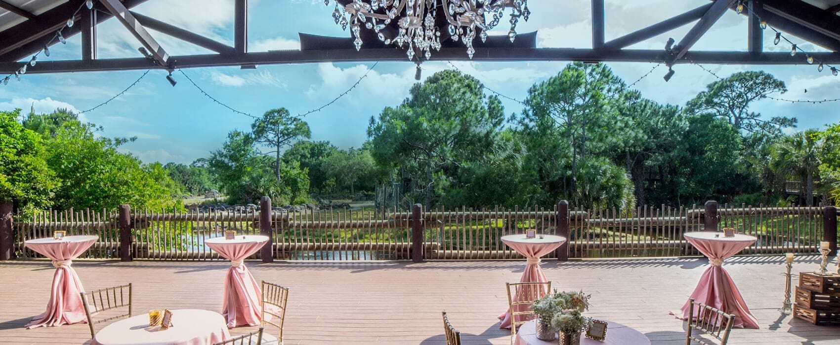 Brevard Zoo | Melbourne, FL | Leaders in Animal Wellness & Conservation